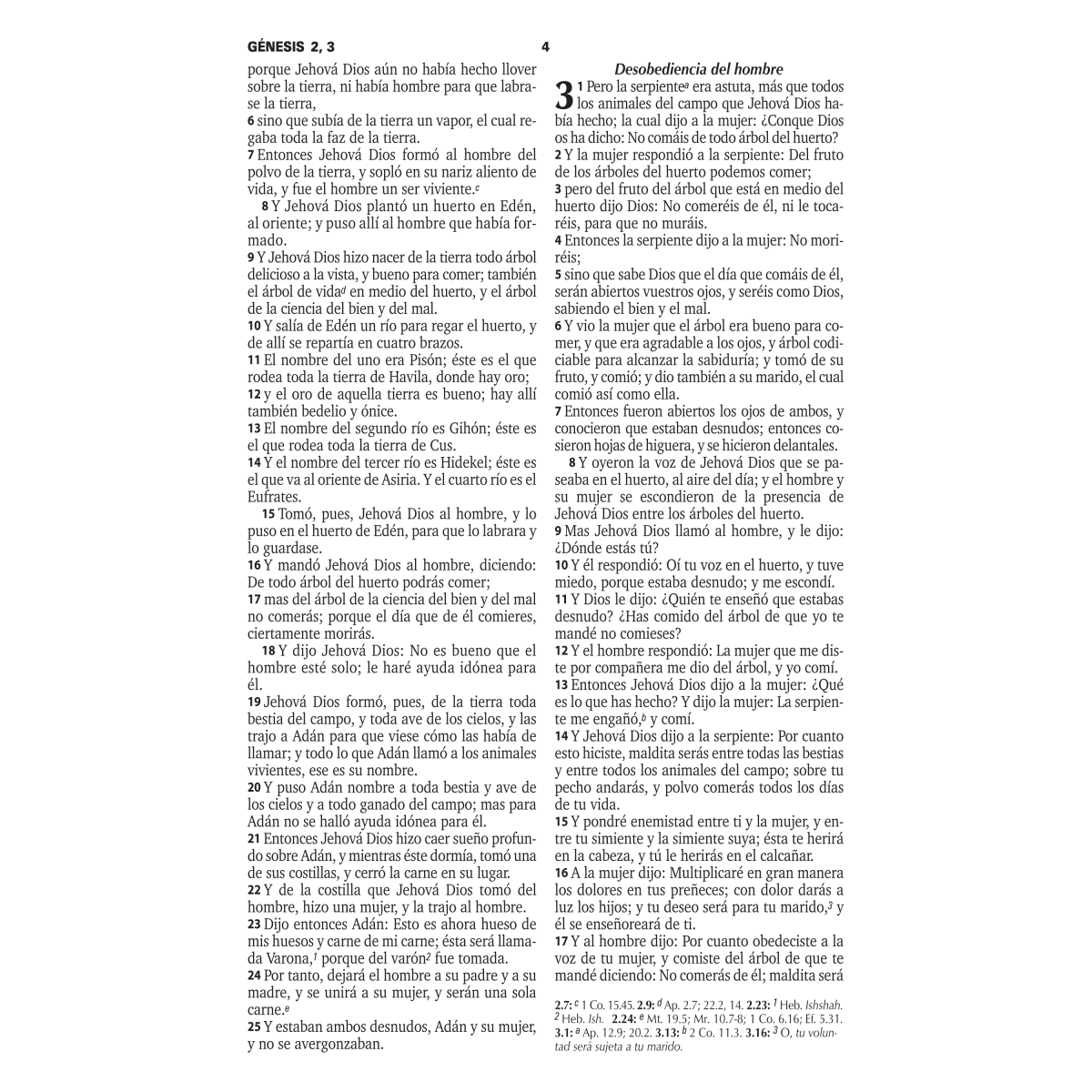 RVR60 Outreach Bible, Spanish – Bibles.com, An American Bible Society ...