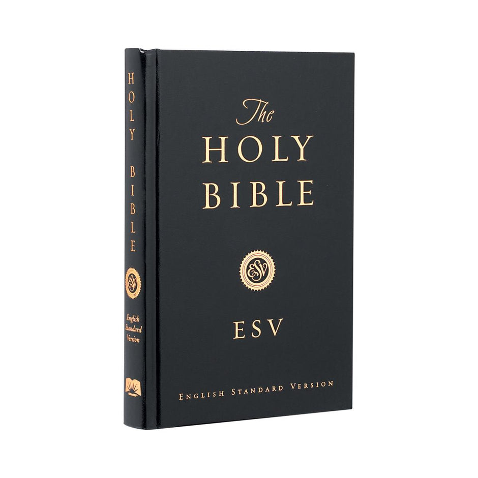 Sale - 30% off with code SUM30 – Bibles.com, An American Bible Society ...